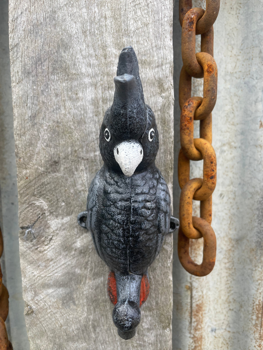 Red-tailed black cockatoo cast iron coat hook – IHR VINTAGE ANTIQUES
